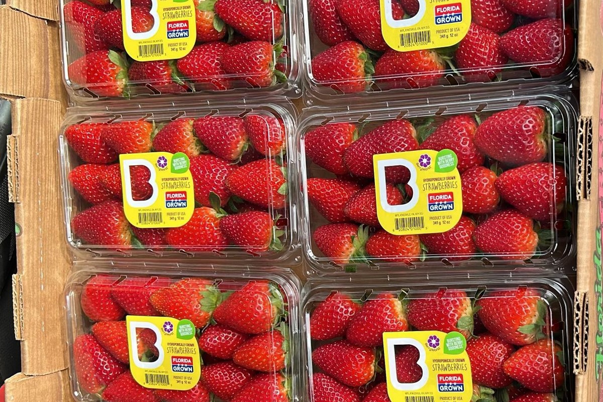 New Florida berry farm starts to meet high demand