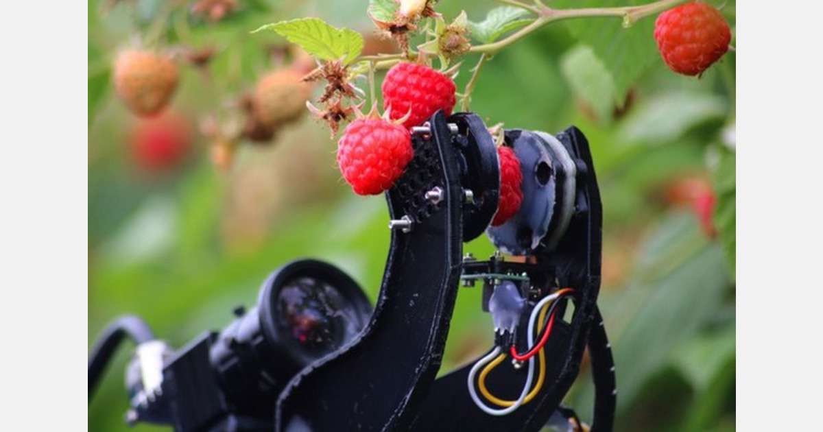 Fieldwork wins government grant to accelerate £1.1 mln BerryBot Project