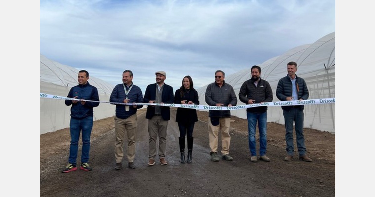 Driscoll's invests $7.1 million into Mexican berry nursery expansion