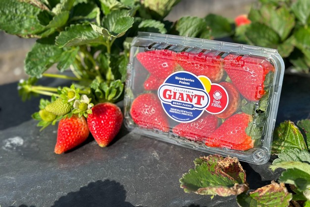 US: Strong volumes of conventional and organic strawberries ahead