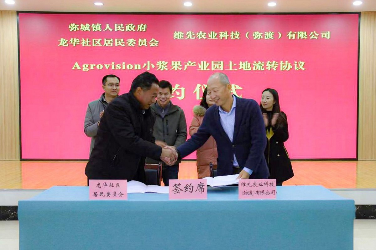 Agrovision signs agreement for large-scale berry farming operations in ...