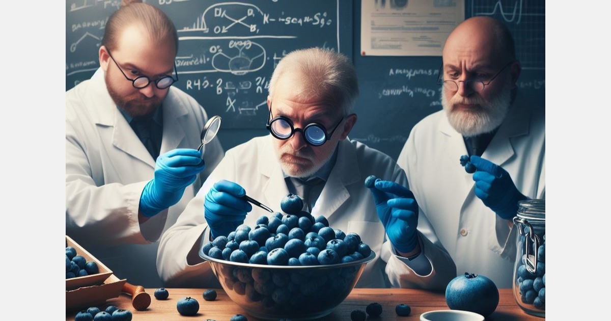 Unveiling the blue hue: scientists crack the code of blueberries' color"
