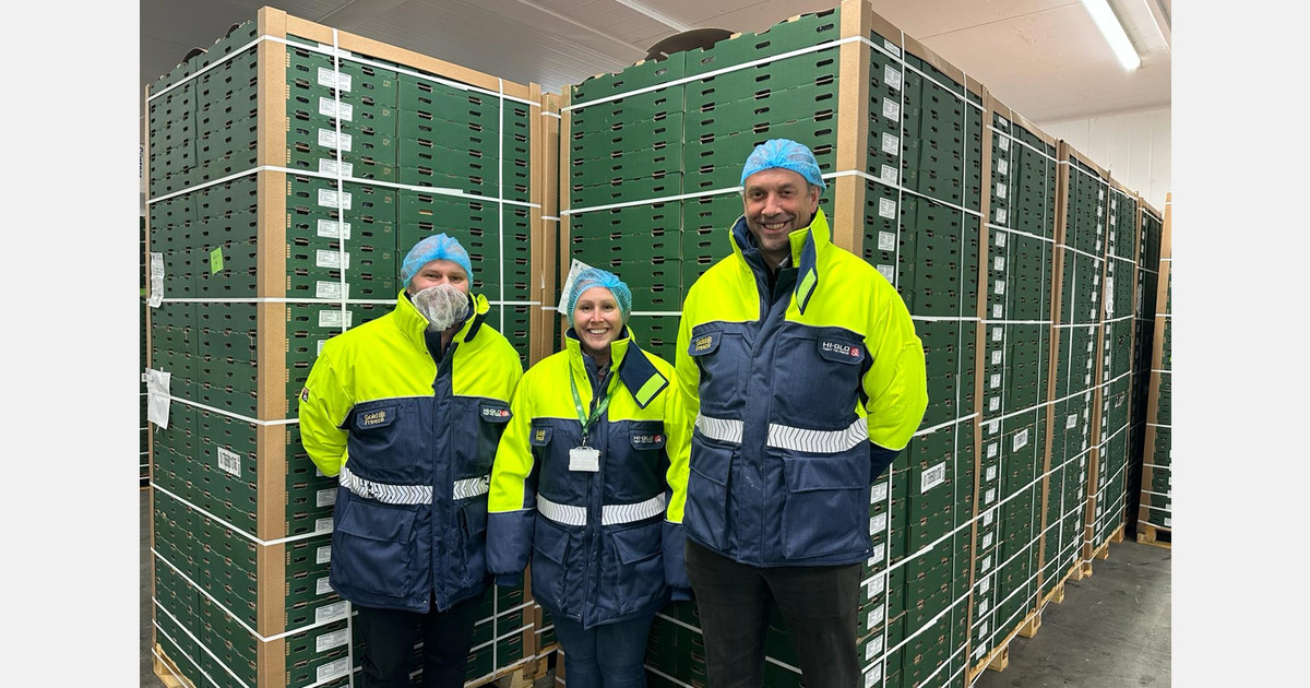 UK's largest blueberry grower opts for berry sorting with AI technology