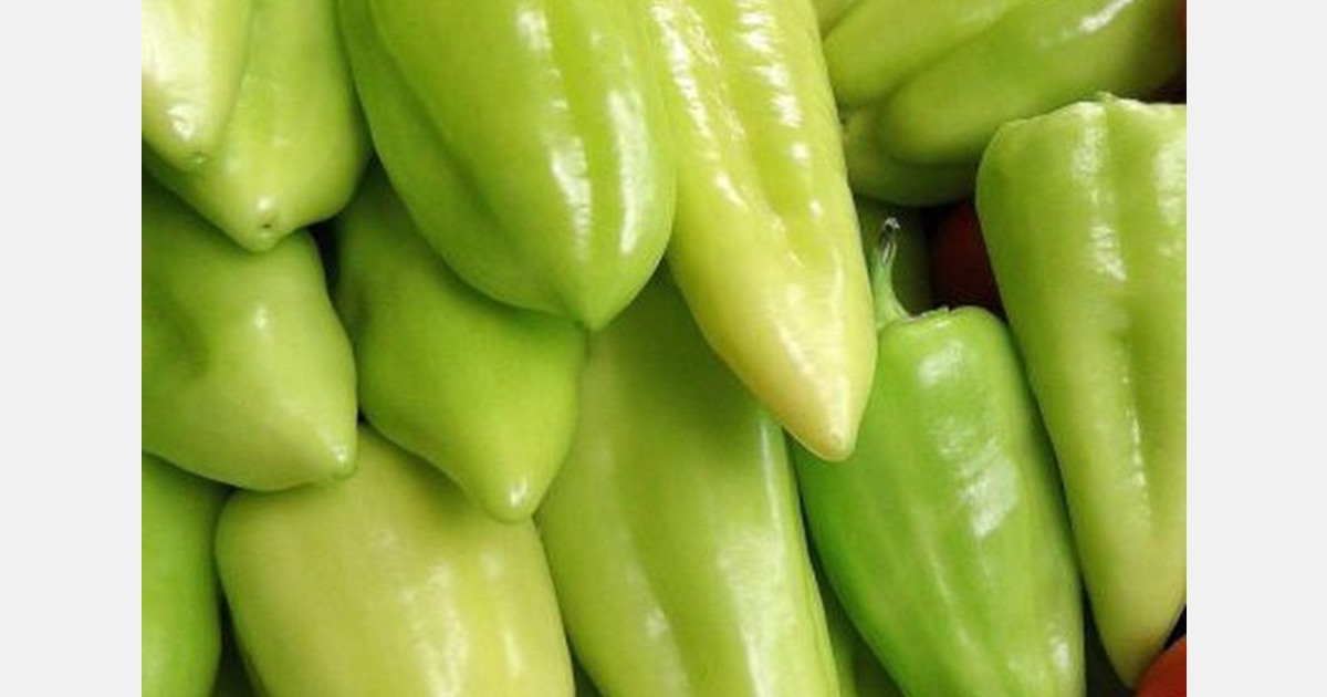 Cubanela pepper price surge in the Dominican Republic