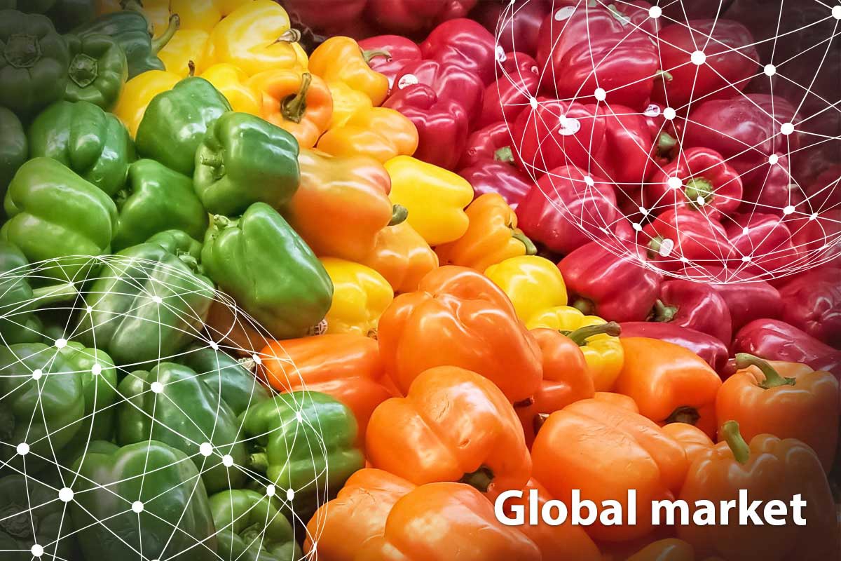 Global market overview peppers