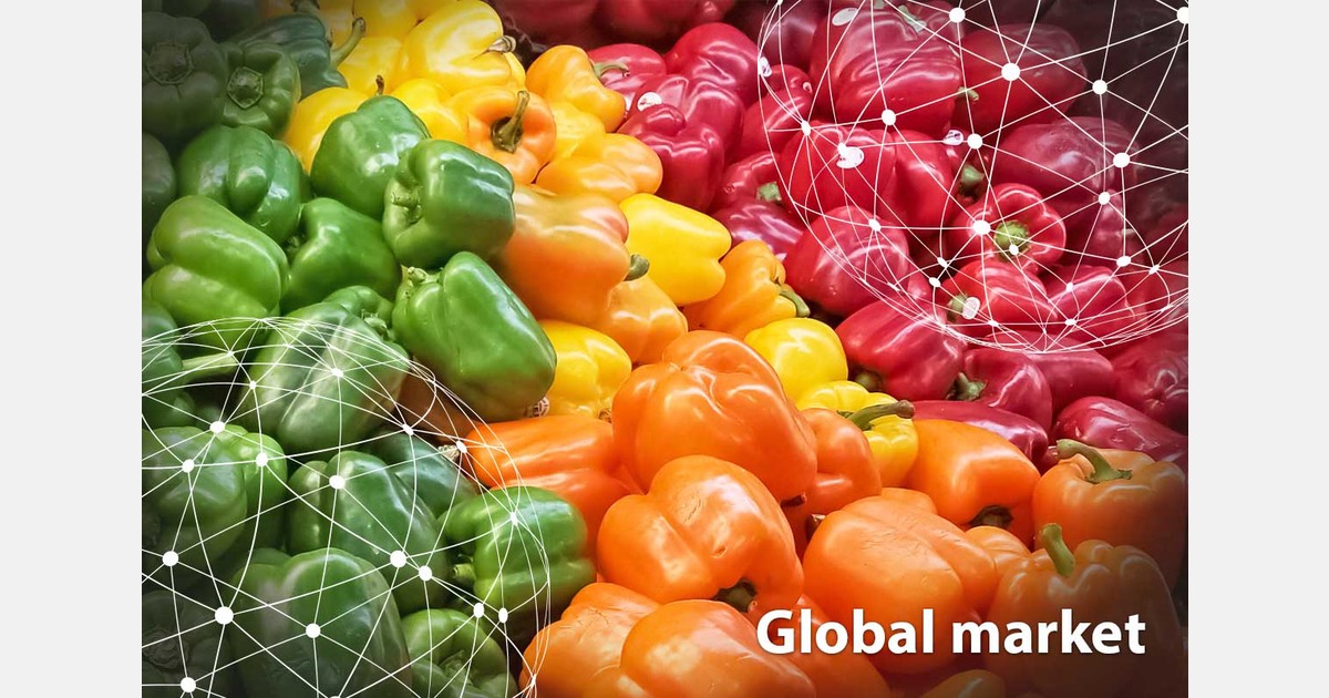 Global market overview peppers