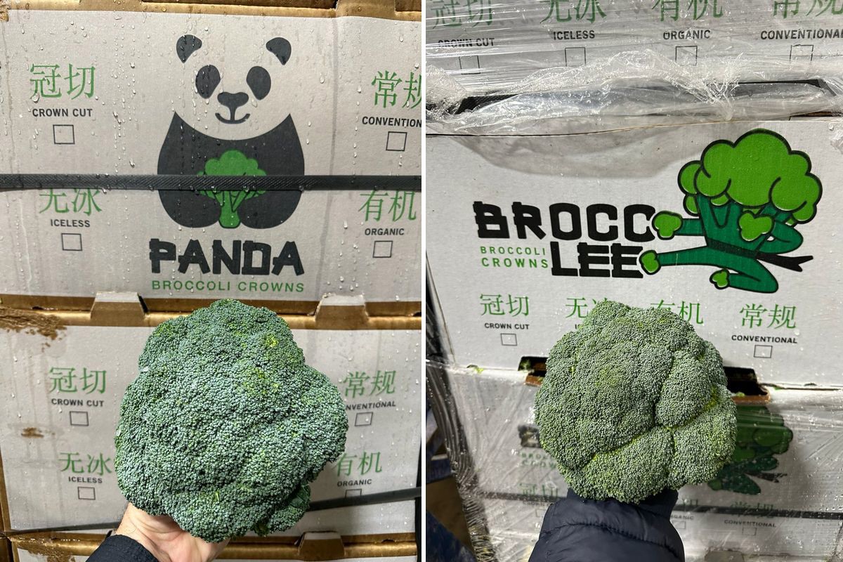 Elevated pricing on Mexican broccoli
