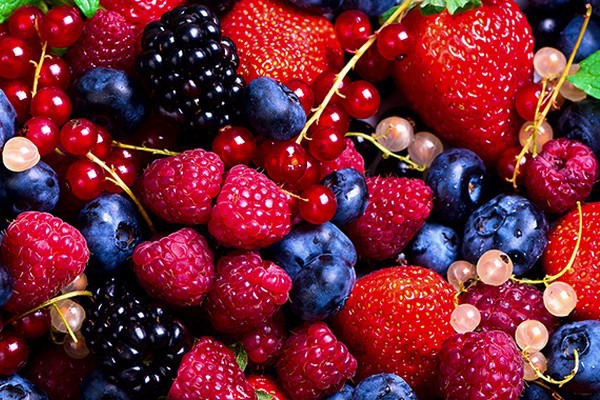 Grower in the Spotlight