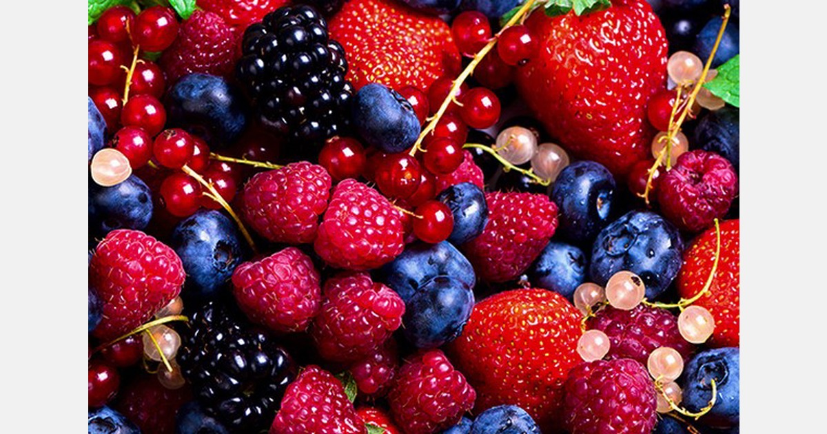 Berries Paradise ready to deploy growth strategy in Mexico