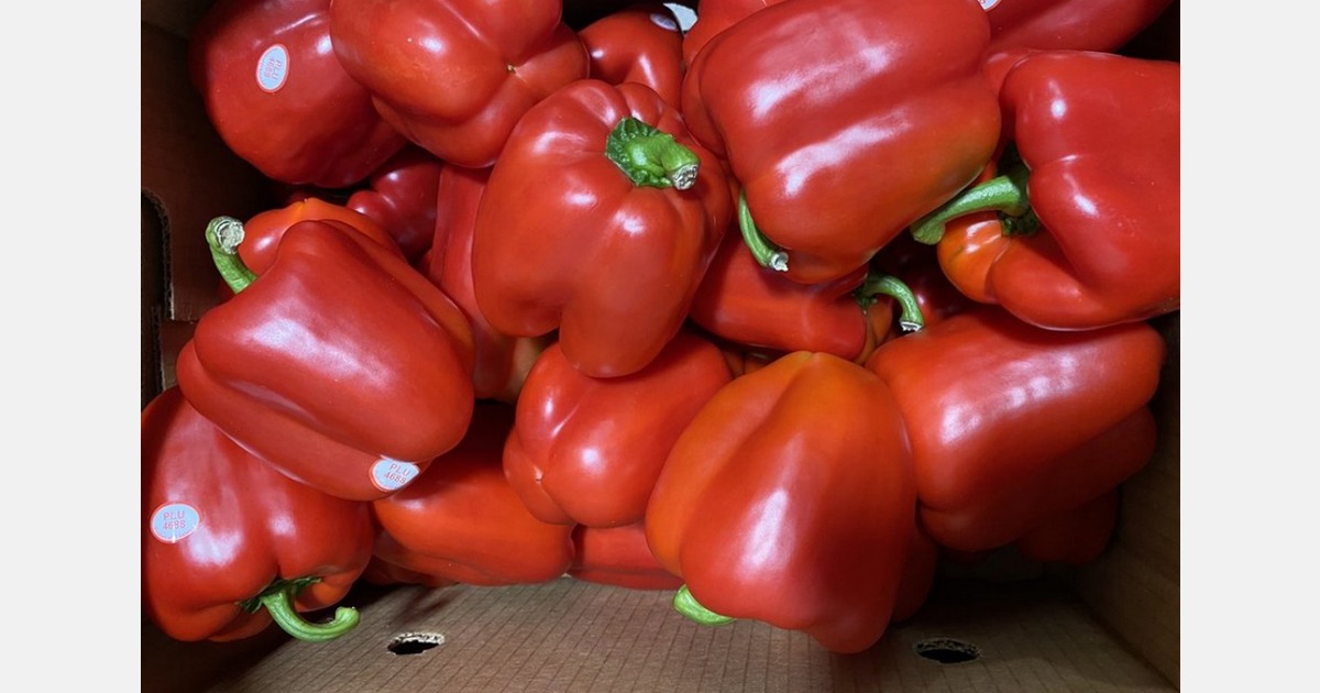 Softer demand slows movement on bell peppers