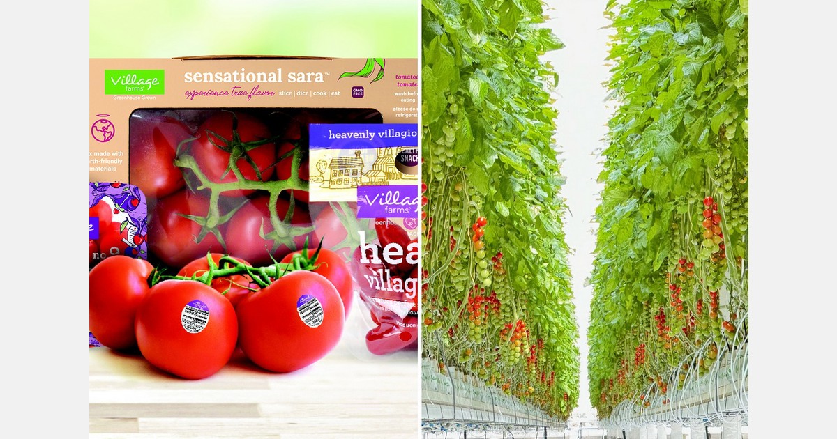 ‘Giga Guru’ status recognizes sustainability efforts