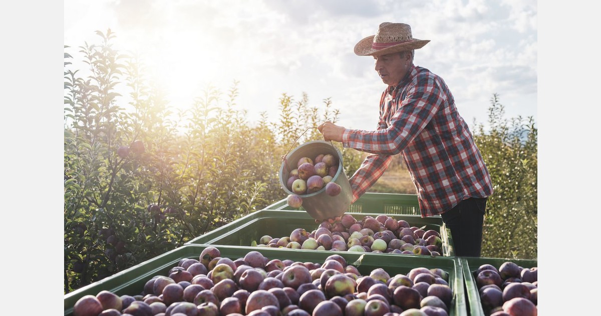 Free webinar series from GLOBALG.A.P. this summer