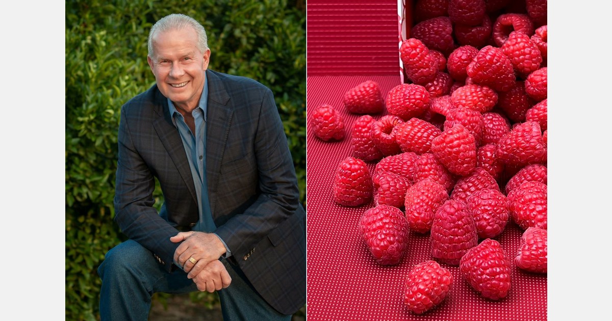 “Five years ago, I wouldn’t have believed berries were going to be one ...