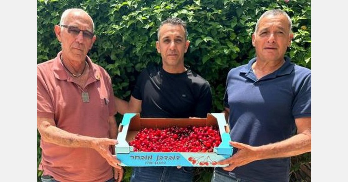 Little to no harvesting of deciduous fruit on farms around Israel’s ...