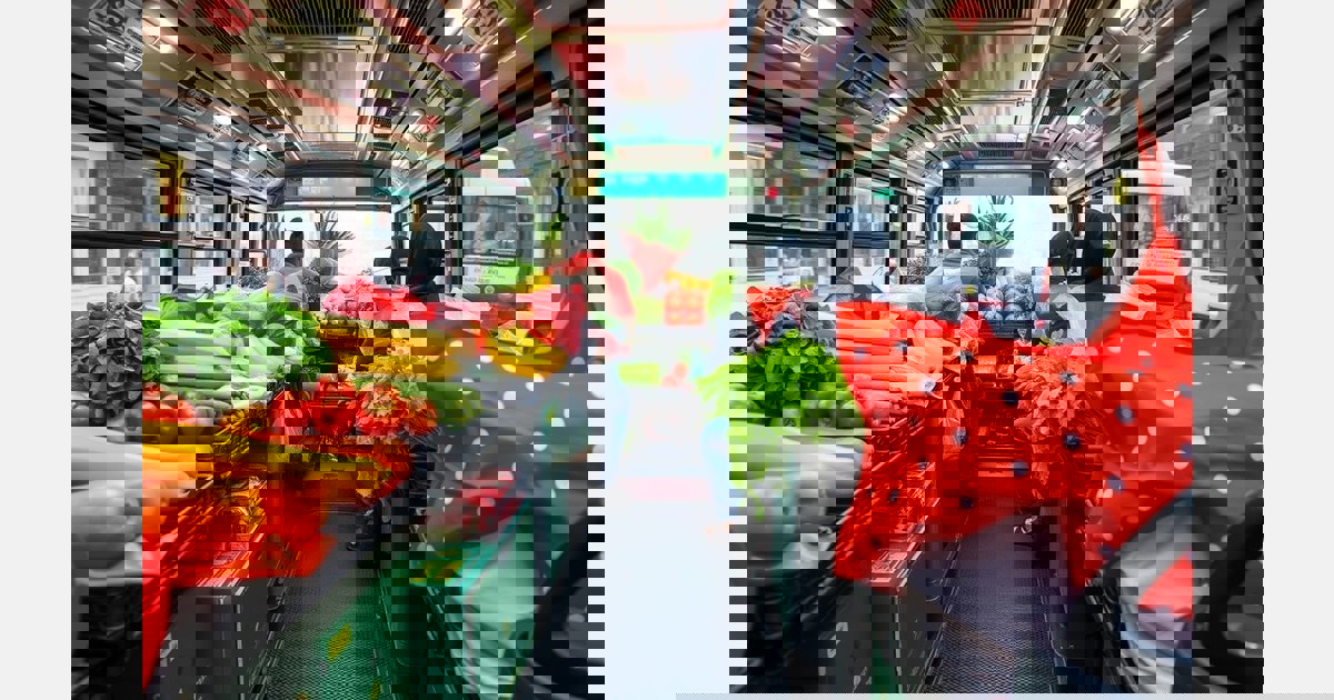 Special bus provides convenience for growers in Guiyang