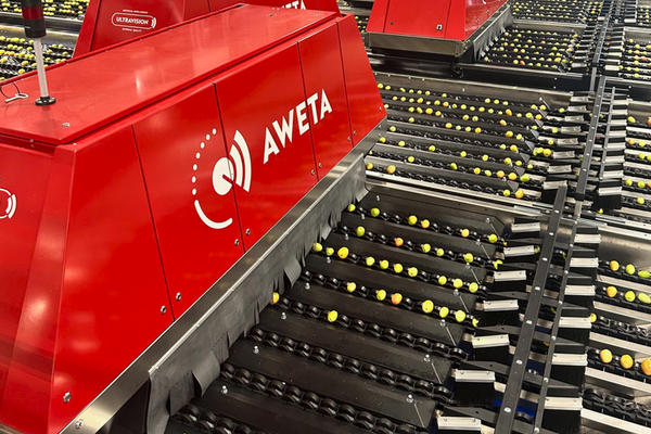 "You need special techniques and AI to control all client sorting aspects"