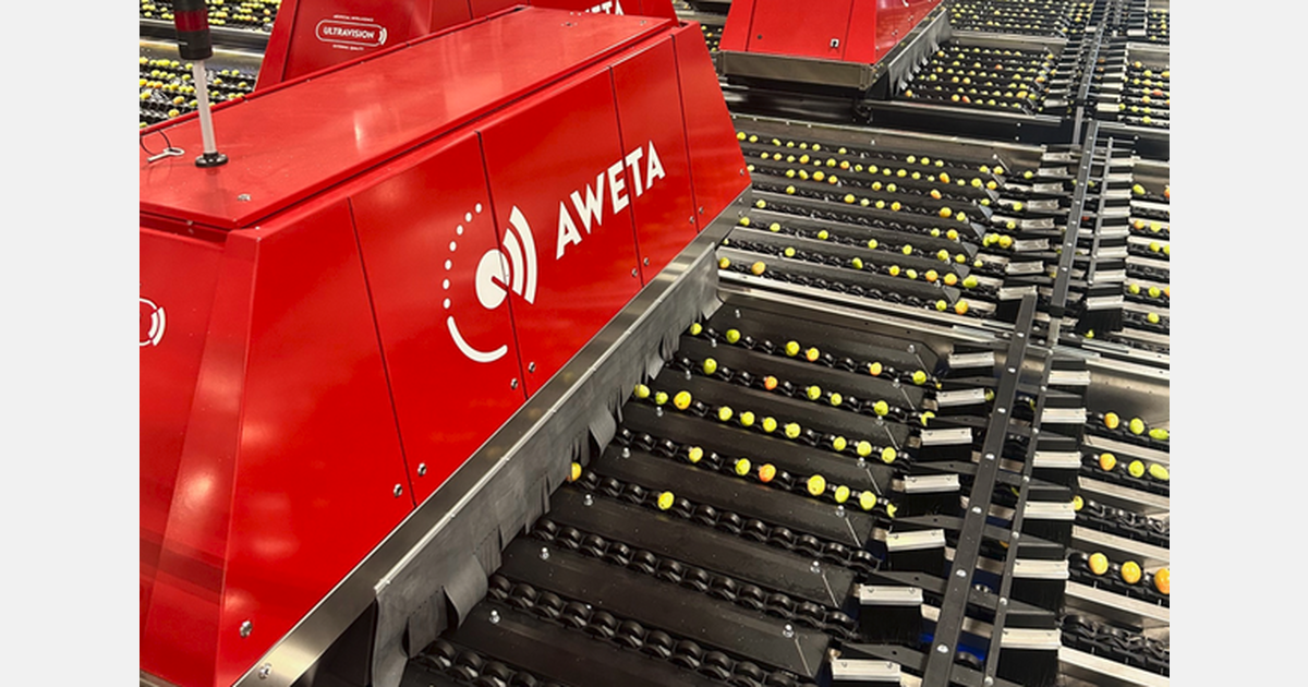 "You need special techniques and AI to control all client sorting aspects"