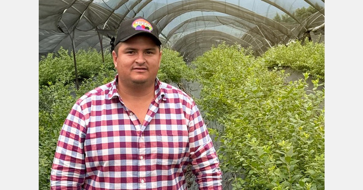 New CEO for Berries Paradise