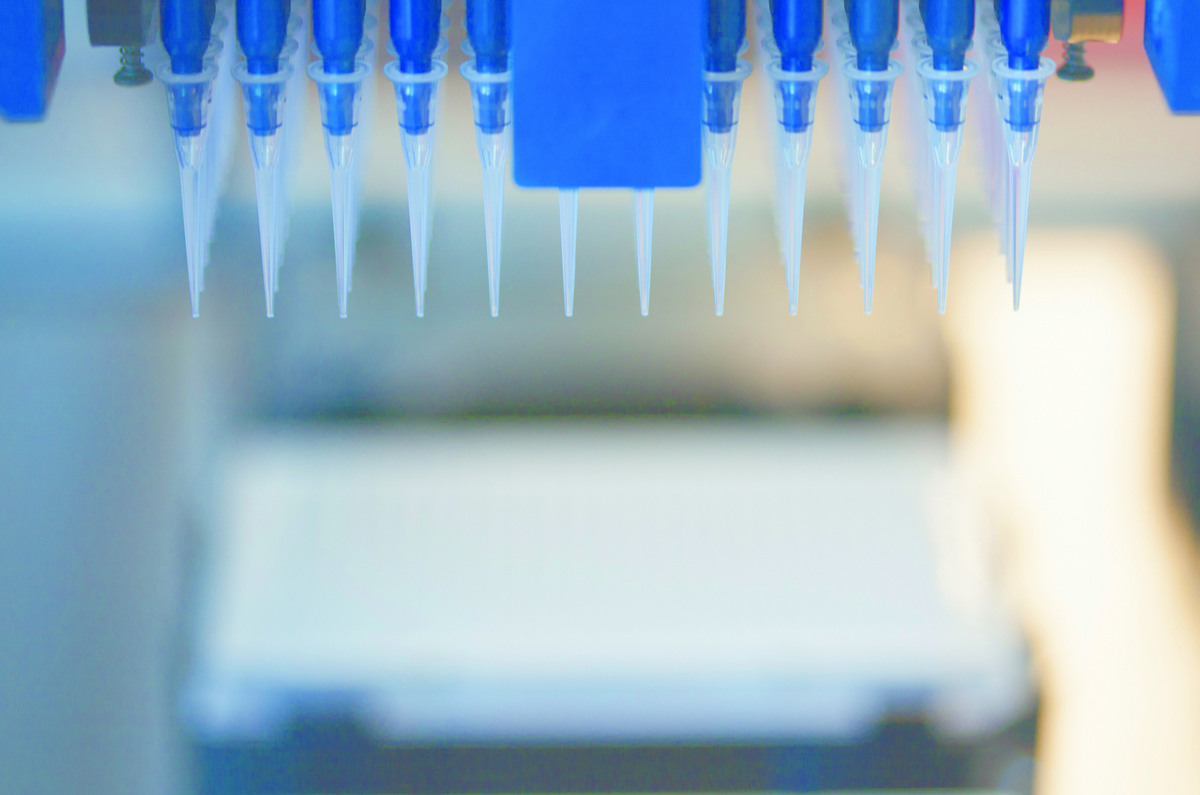 Rijk Zwaan celebrates its 100-year anniversary