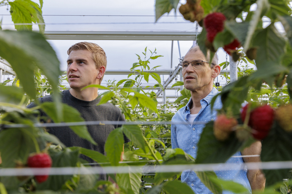 Rijk Zwaan celebrates its 100-year anniversary