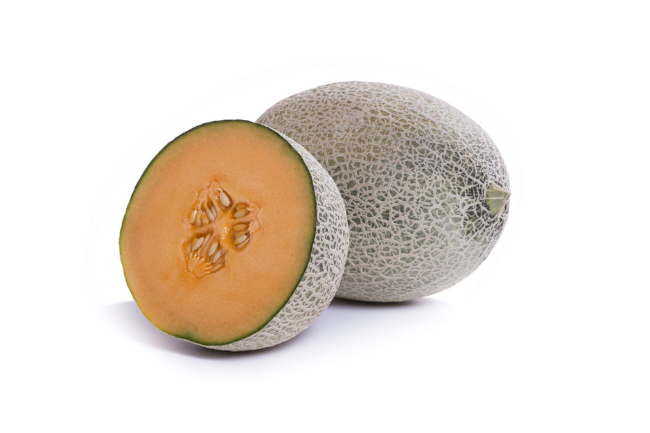 Rijk Zwaan celebrates its 100-year anniversary