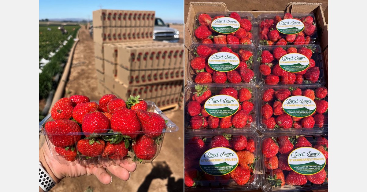 As California strawberries transition to Santa Maria, US blueberries ...