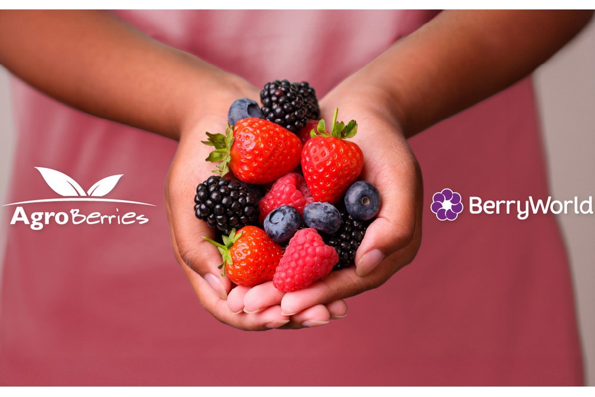 Agroberries and BerryWorld Group combine to create second largest berry ...