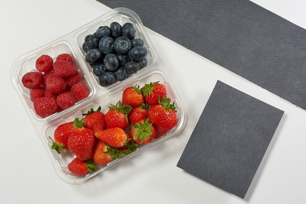 Eco-friendly berry pads launched to reduce food waste and cut carbon ...