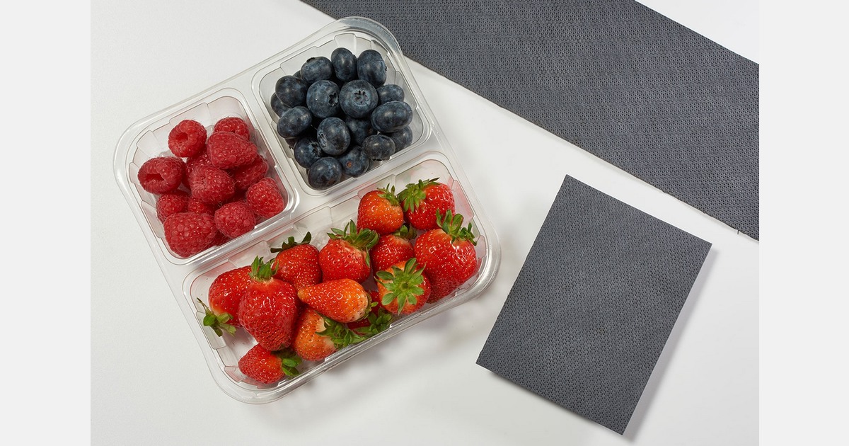 Eco-friendly berry pads launched to reduce food waste and cut carbon ...