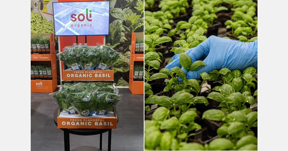 Rethinking basil packaging