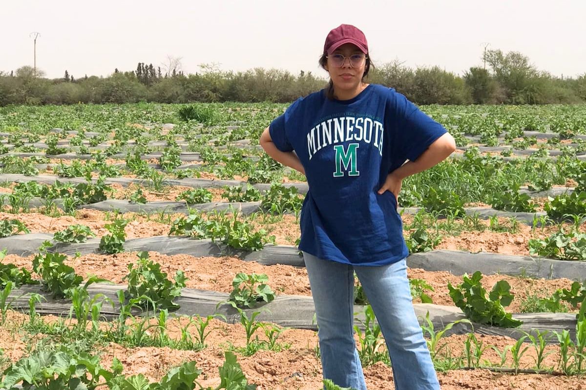 Raspberry harvest begins in Agadir amid labor shortage