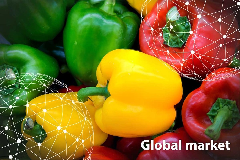 Global market overview bell peppers