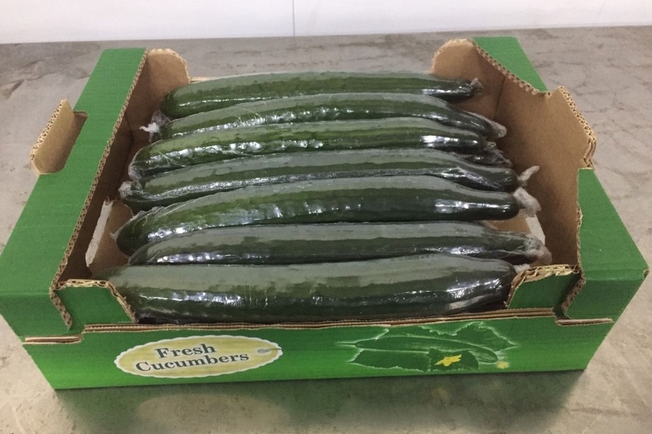 Greek cucumbers facing export challenges