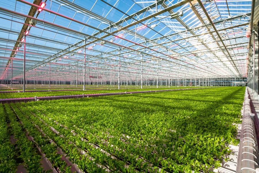 Greenhouse expansion projects