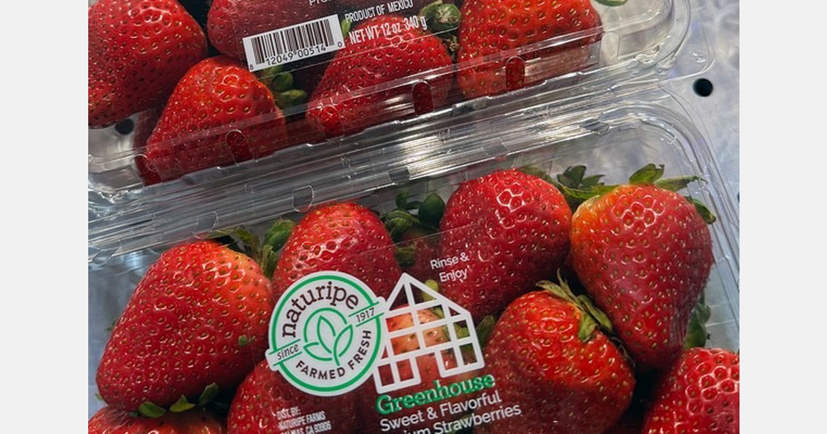 Greenhouse strawberry program set to quadruple this season