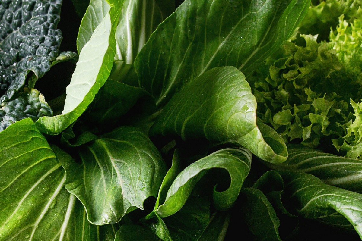Brassica and Leafy Salad Conference 2025: Networking and industry awards