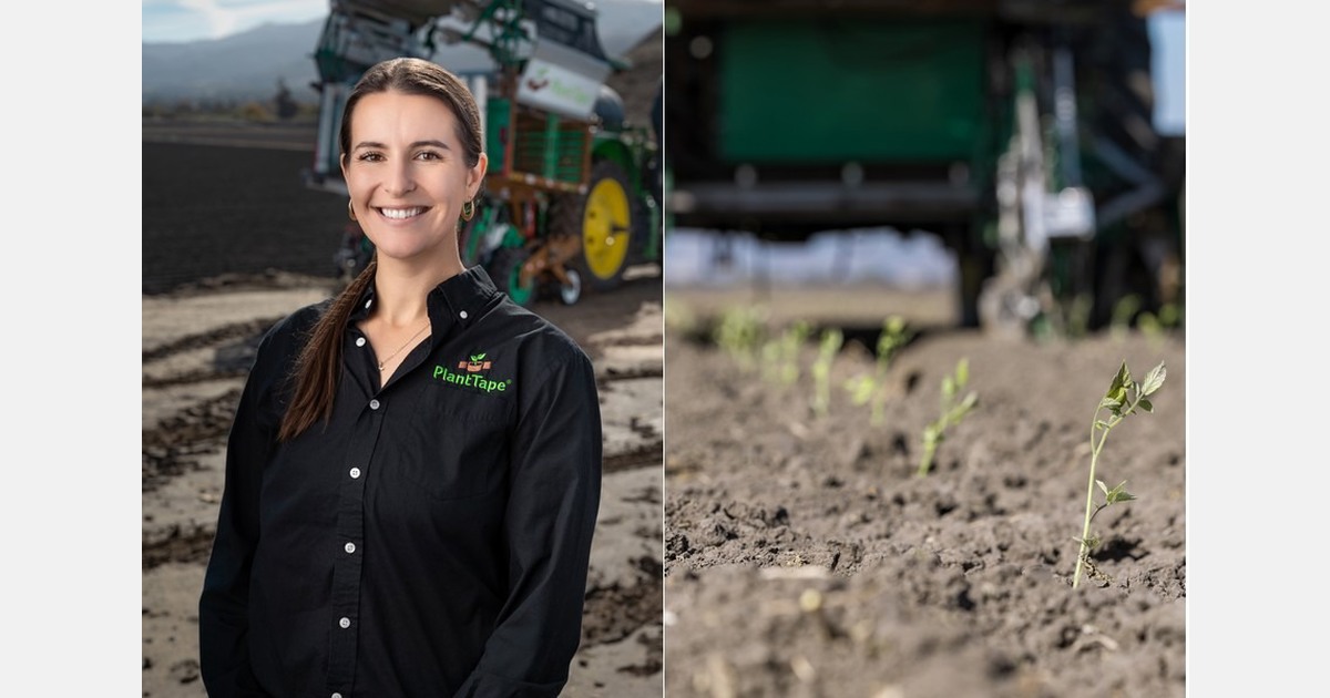 New automated tomato transplanter introduced