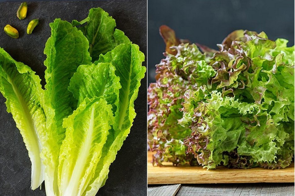 Slower movement on leaf lettuce