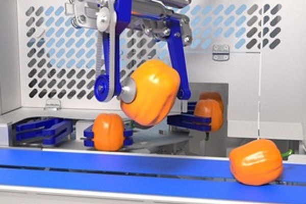 Sormac to unveil new equipment in fresh produce processing technology