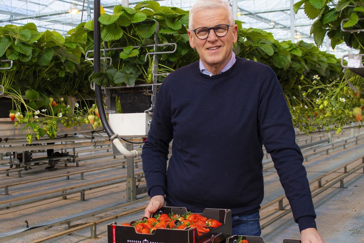 NL: Beekers Berries celebrates 30th anniversary