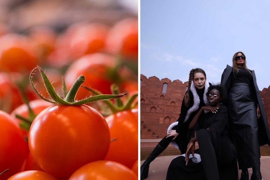 Indian startup creates PU- and PVC-free bioleather from tomato waste