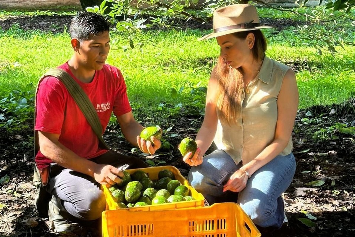 “A 25% U.S. tariff represents a significant burden for the Mexican ...