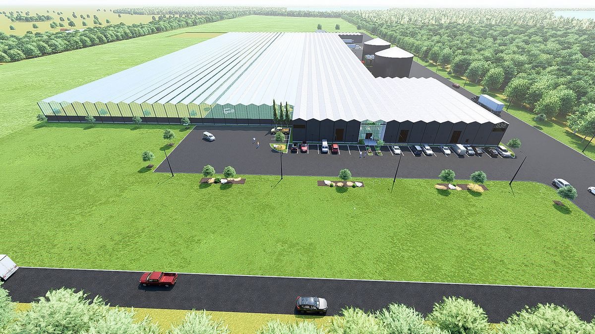 Third-generation grower to launch new Ontario greenhouse