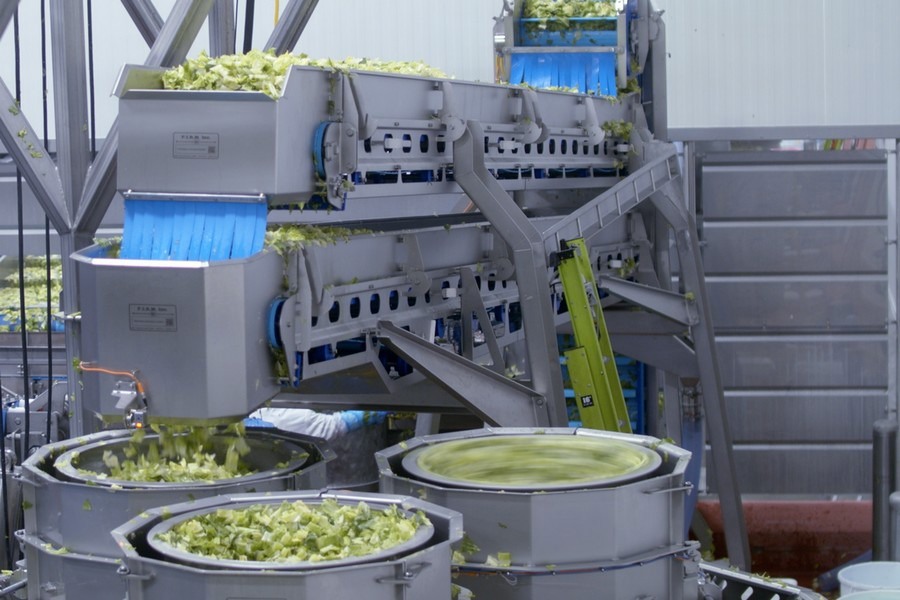New automated technology for foodservice fresh-cut vegetable production ...