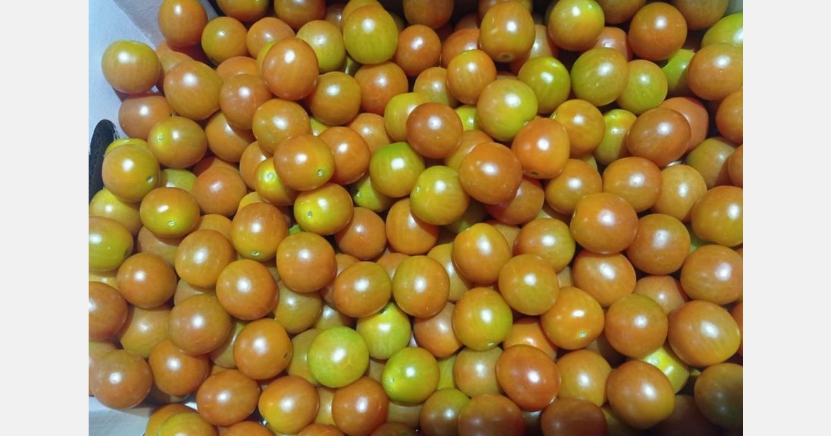 "We are trying to grab market share from Moroccan exporters"