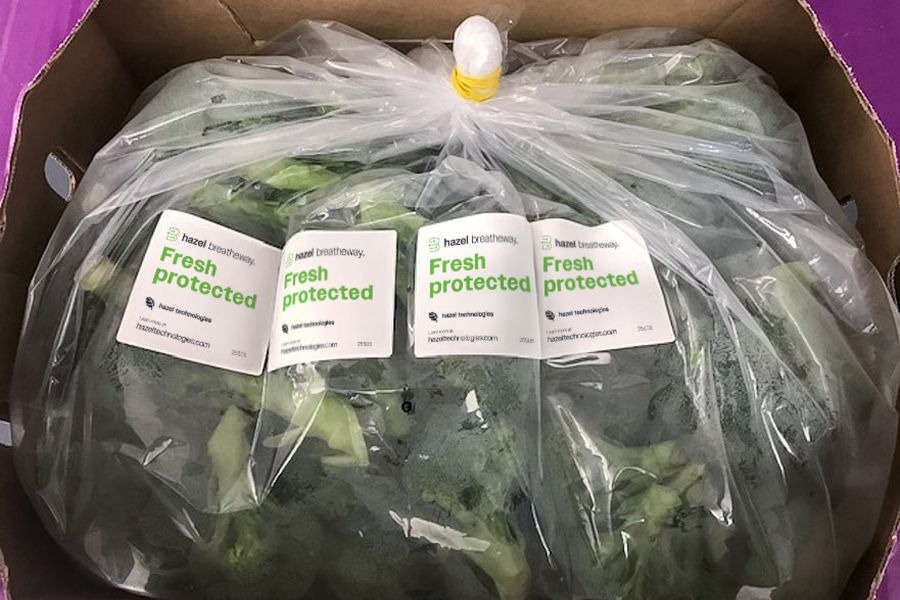 New packaging technology eliminates the need for ice when shipping broccoli
