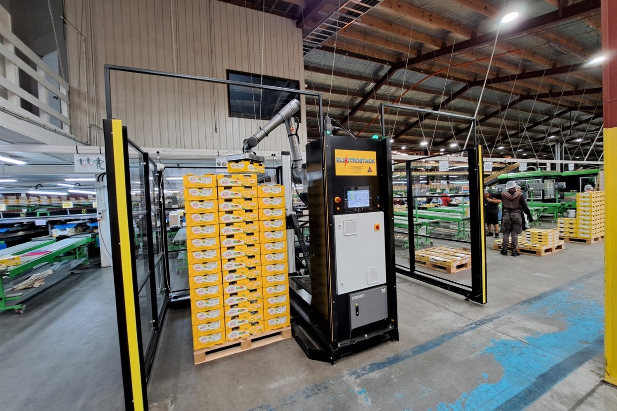 Locally made robot stacker in trial at Seeka Kiwi Kool Packhouse