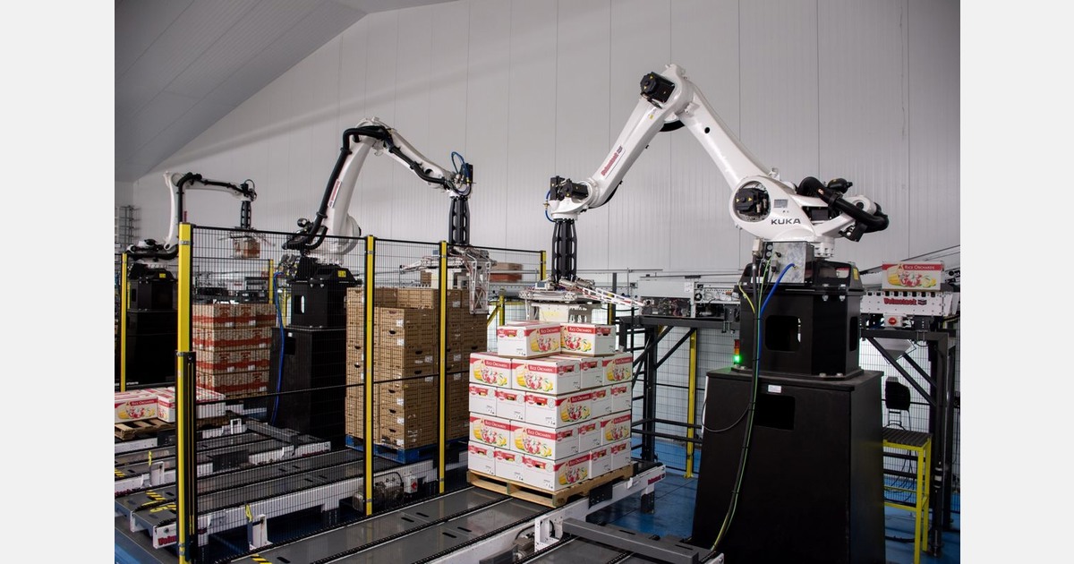 Concise overview of the latest packaging solutions for fresh produce