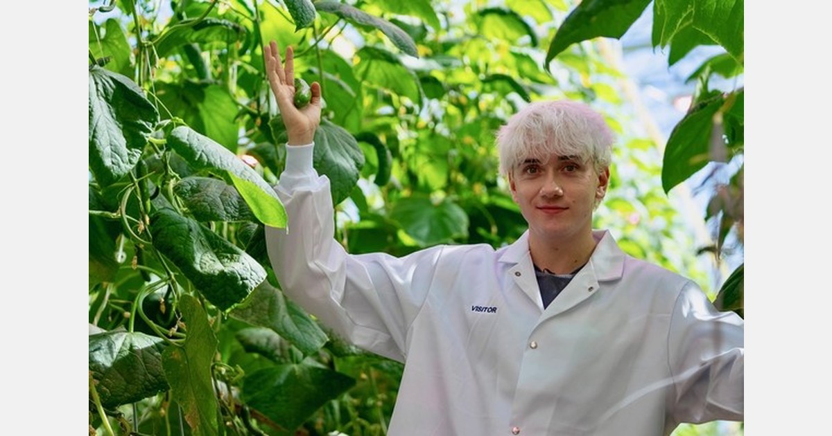 New launches, sustainable packaging, collaborations, and more