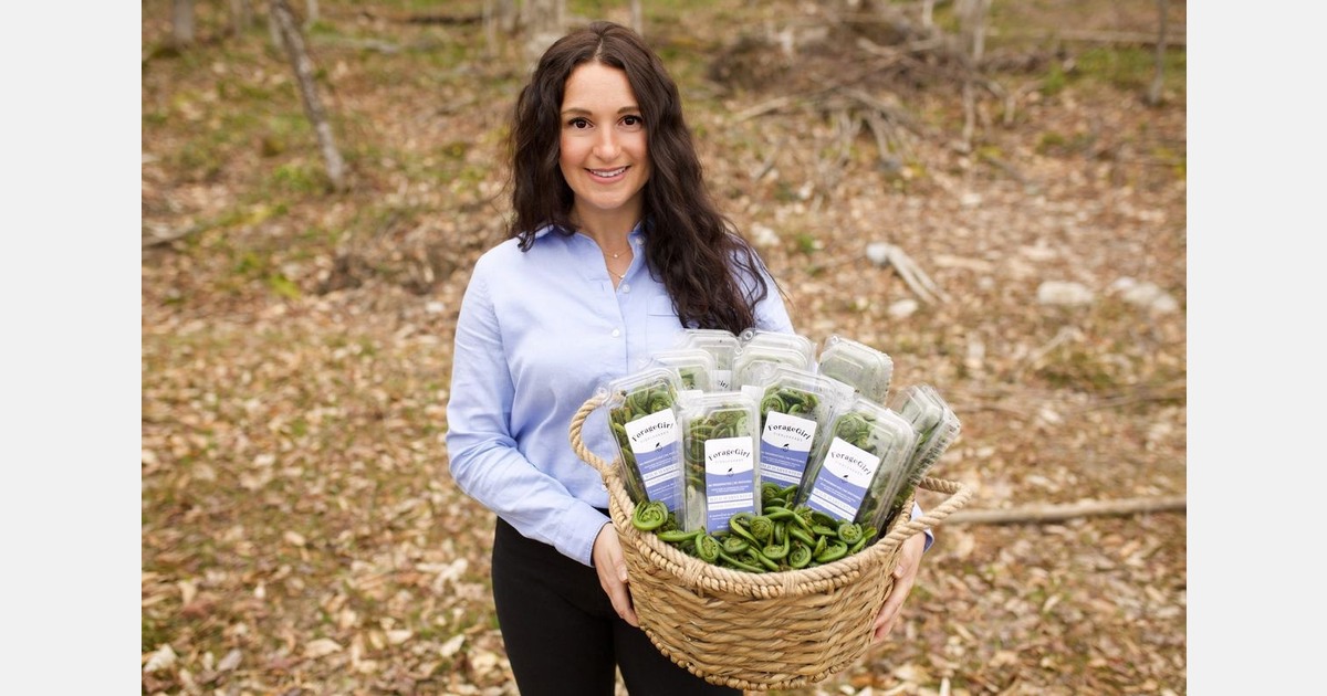 Highly anticipated local fiddlehead season is about to kick off